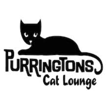 Cat Cafe Directory — That Cat Blog